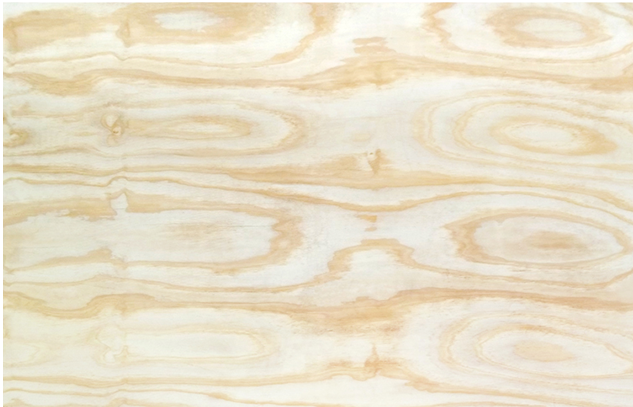 AC and BC Sanded Plywood